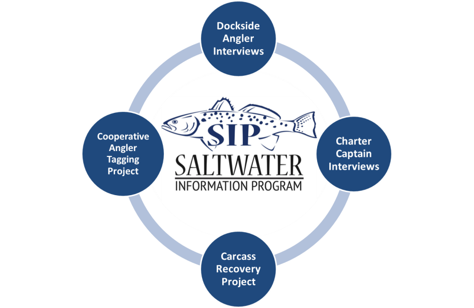 Saltwater Information Program (SIP) Permit | Department Of Natural ...