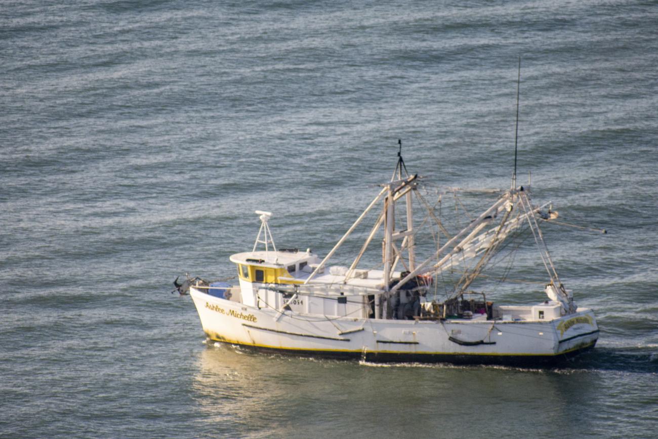 Georgia DNR extends commercial, recreational food shrimp season to ...