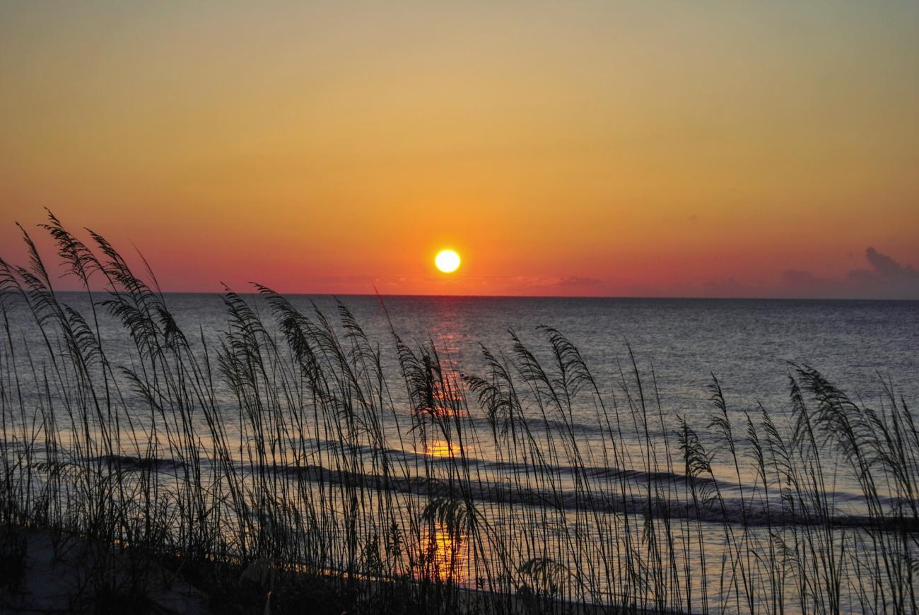 Coastal Incentive Grant pre-application period set to open Coastal Incentive Grant pre-application period set to open